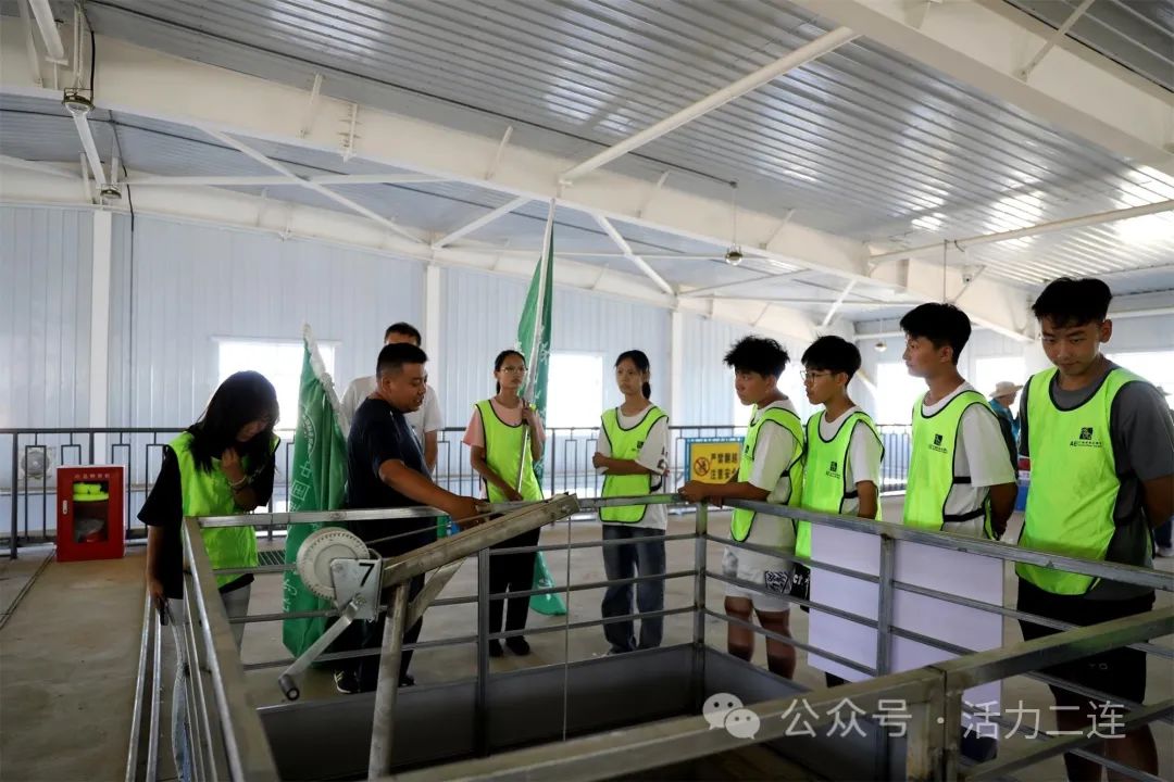 【盘点2023】厚植生态底色 绘浓发展绿色_二连浩特市人民政府