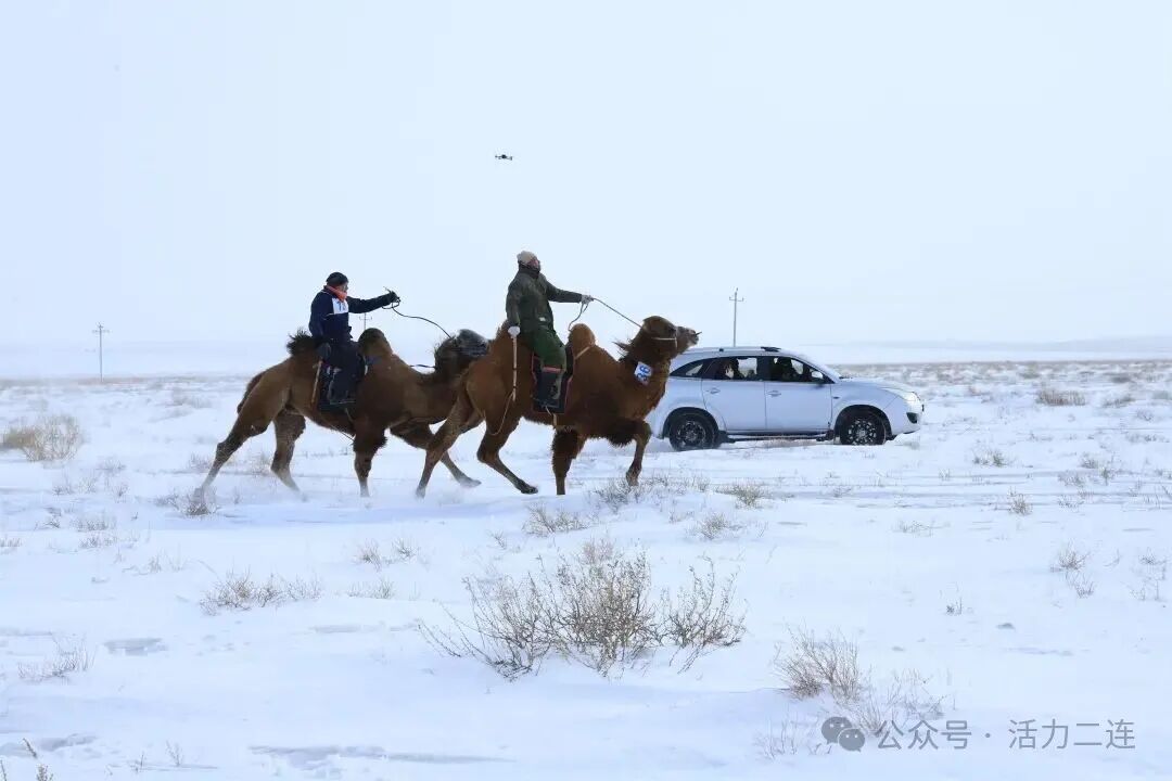 图片新闻_二连浩特市人民政府